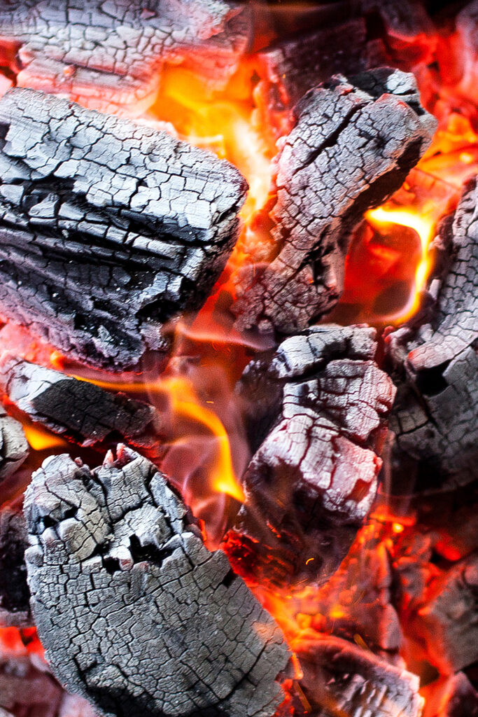 Quebracho blanco wood : QBE : JOSPER charcoal
